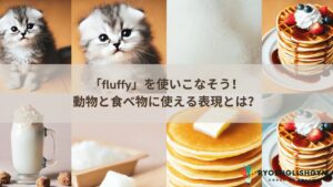 “fluffy”の意味と使い方｜よくある間違い・関連表現・会話例まで完全ガイド | RYO英会話ジム